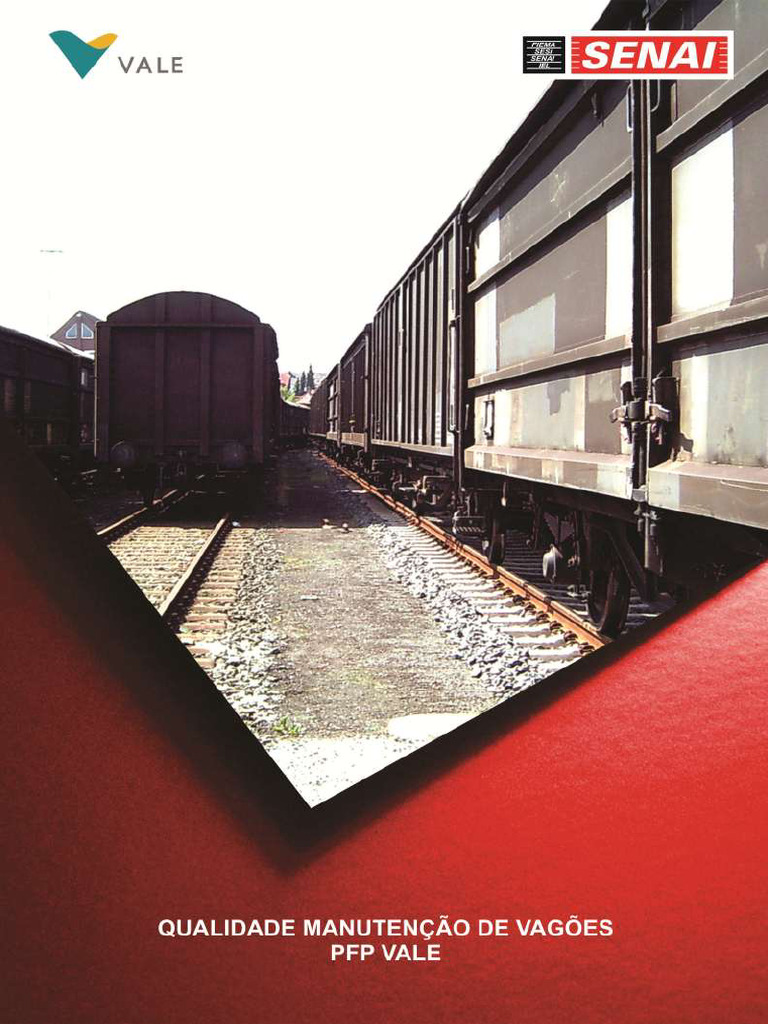 6qualidade - PFP VALE | PDF | Qualidade (negócios) | Despesa