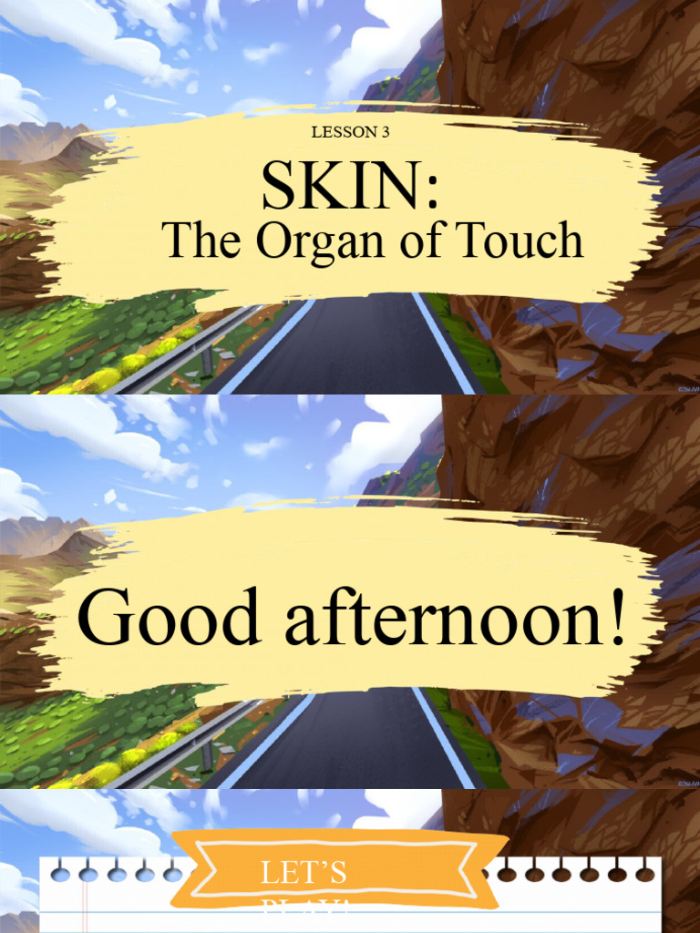 The Skin | PDF | Skin | Epidermis