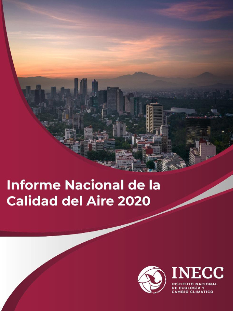 Informe 2020 | PDF