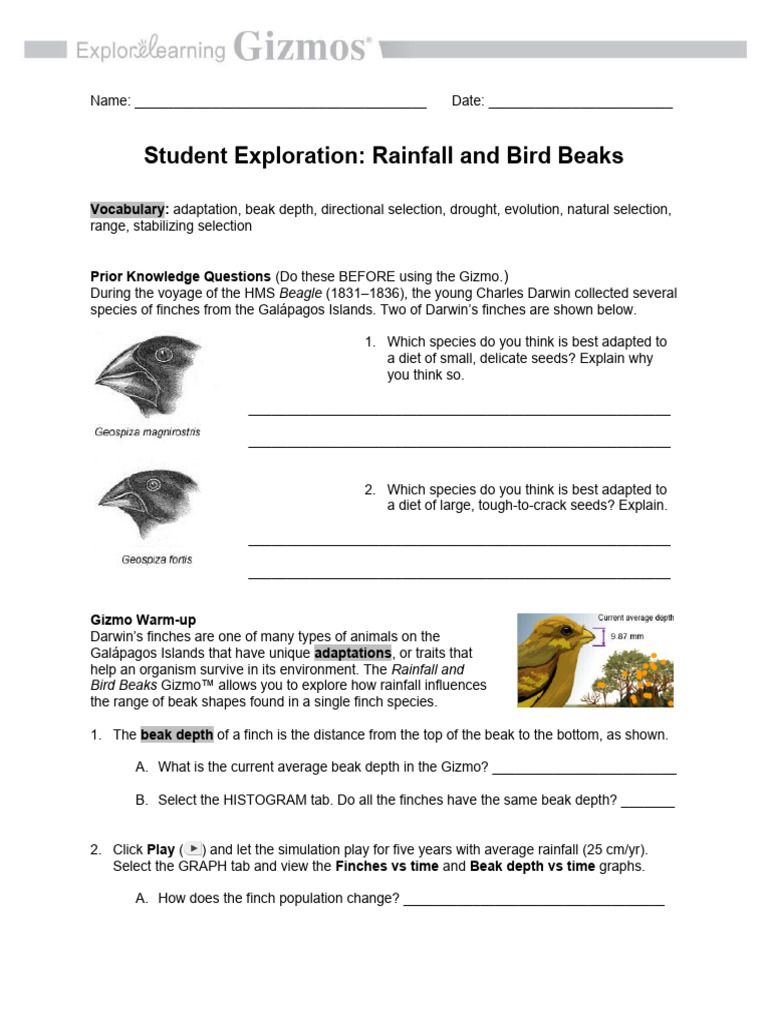 RainfallBirdMetricSE | PDF | Biological Evolution | Evolutionary Biology