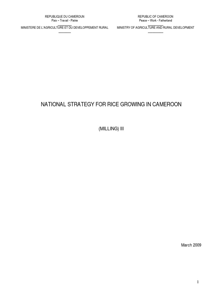 Cameroon - Rice | PDF | Agriculture | Rice