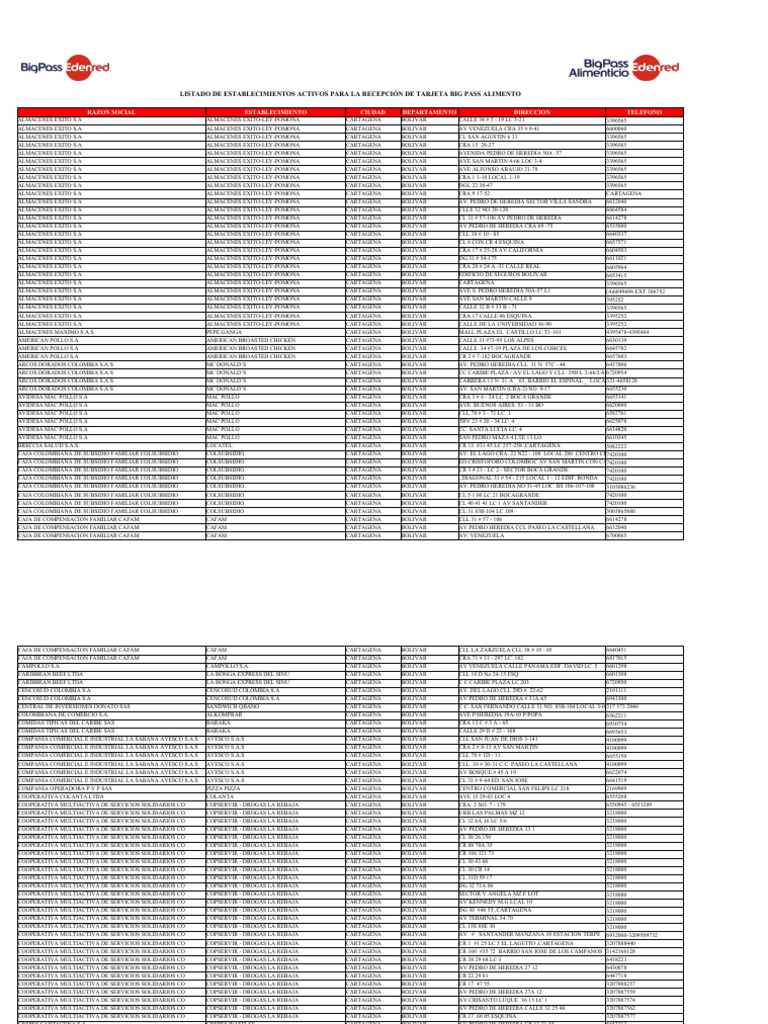Establecimientos BigPass | PDF