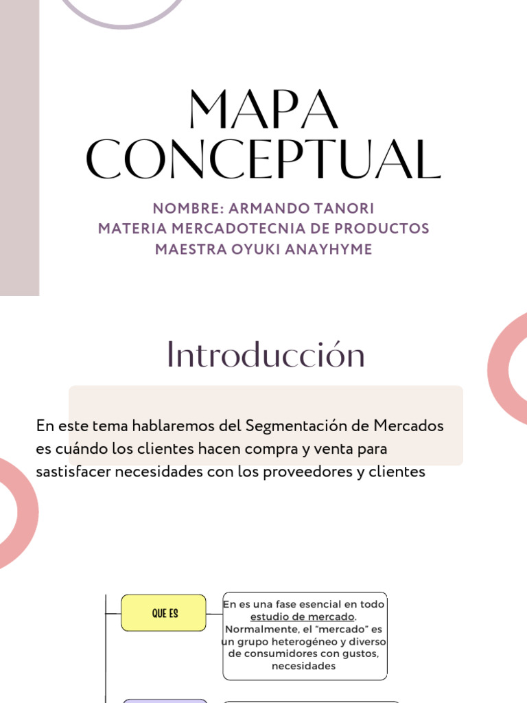 Mapa Conceptual de Segmentacion de Mercados | PDF