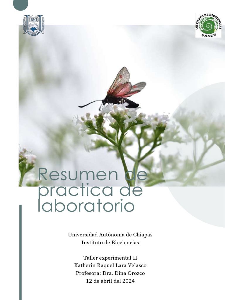 Resumen de Practica de Laboratorio | PDF | Laboratorios