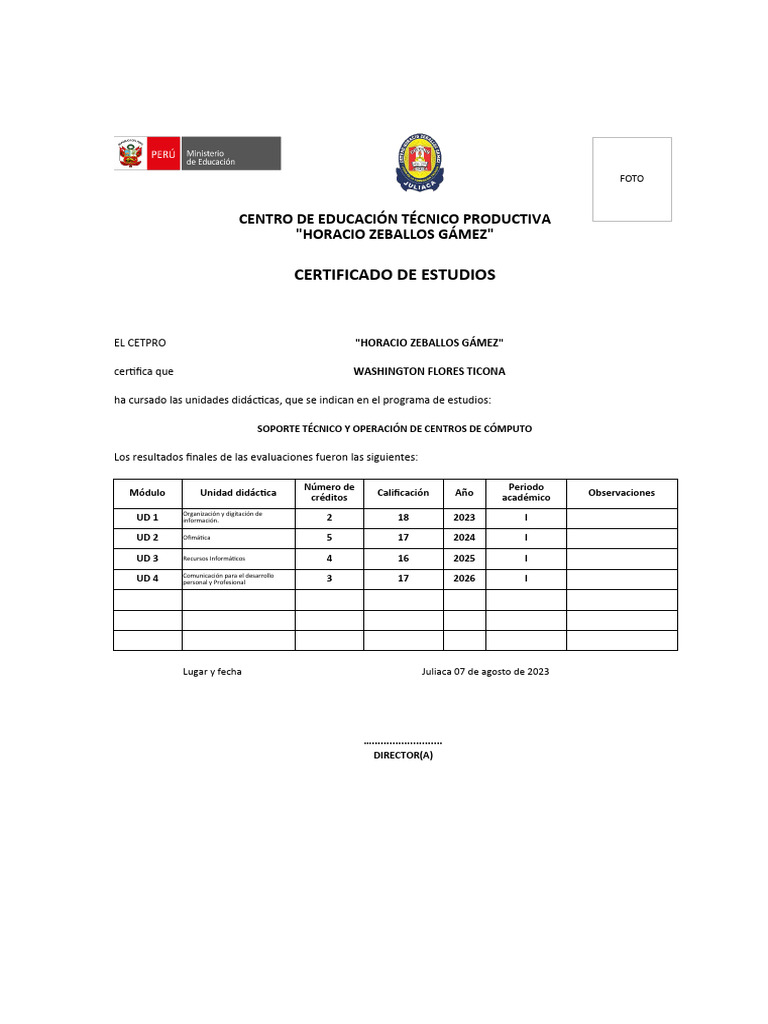 Formato Llenado de Certificados - Planes de Esetudio - 2023 | PDF | Soporte técnico | Informática
