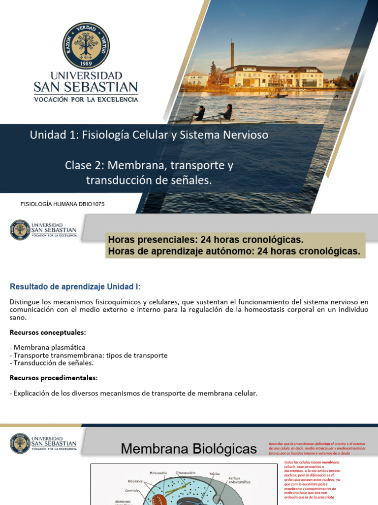 Unidad 1_clase 2 - Membrana_ Transporte y Transducción de Señales DBIO1075 202320 | PDF ...