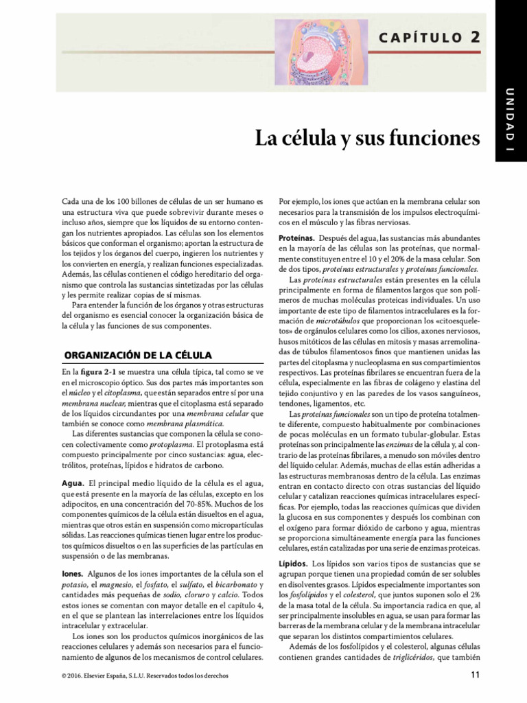 Guyton y Hall 2 | PDF