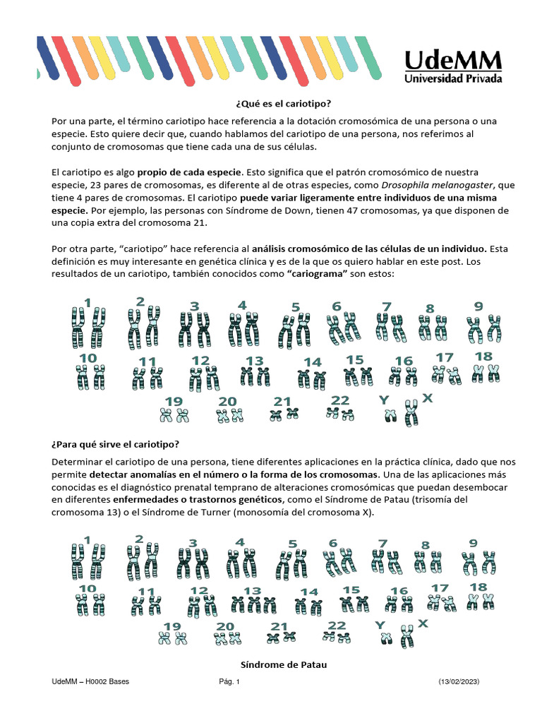 Cariotippo | PDF | Cariotipo | Cromosoma