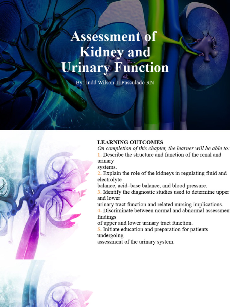 Kidney & Urinary Function Guide | PDF | Kidney | Genitourinary System
