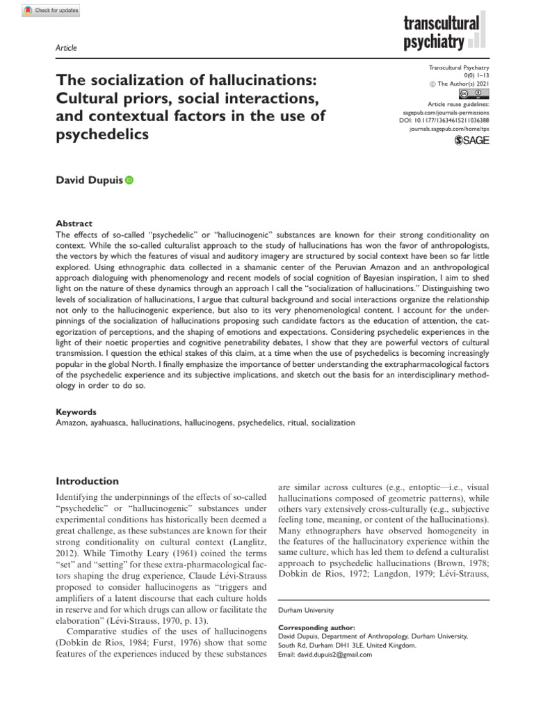 Dupuis 2021 | PDF | Experience | Perception