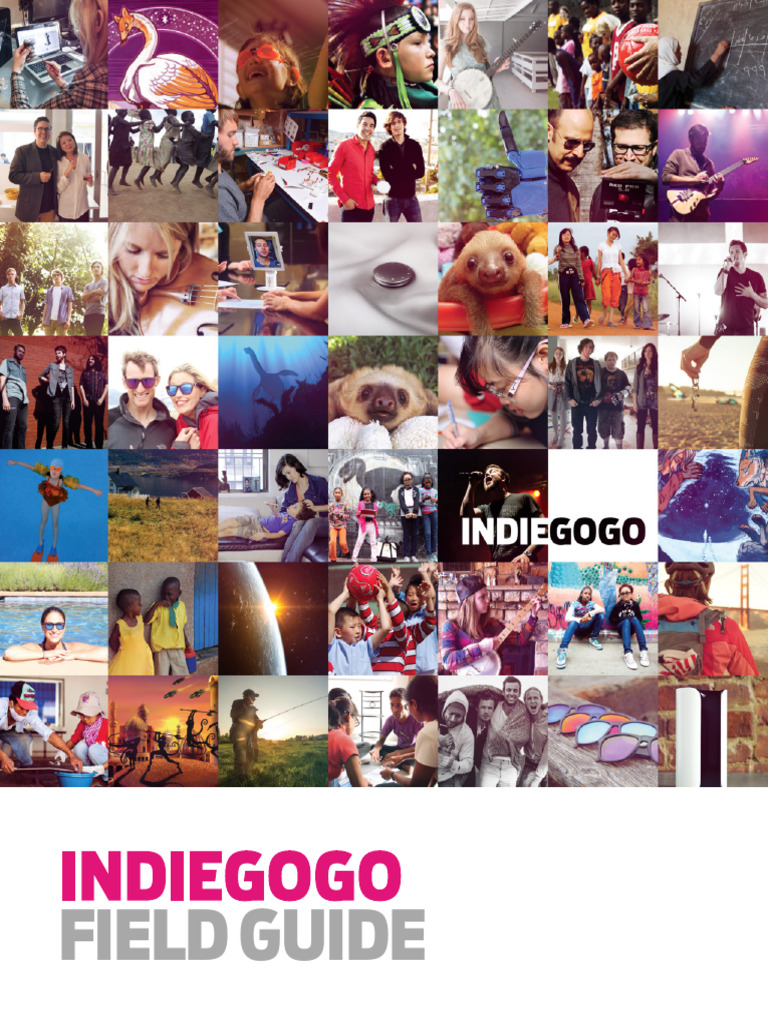 Indiegogo Campaign Success Guide | PDF | Indiegogo | Social Media