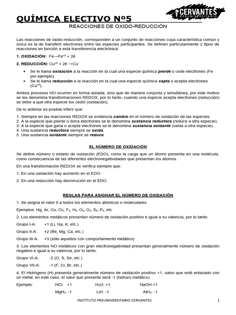 Guía Reacciones Redox | PDF | Redox | Electrodo