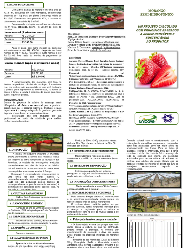 Folder Morango | PDF | Agricultura | Híbrido (Biologia)