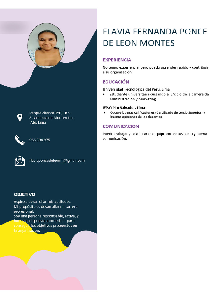 CV Flavia Fernanda | PDF | Relaciones personales, crianza y desarrollo ...