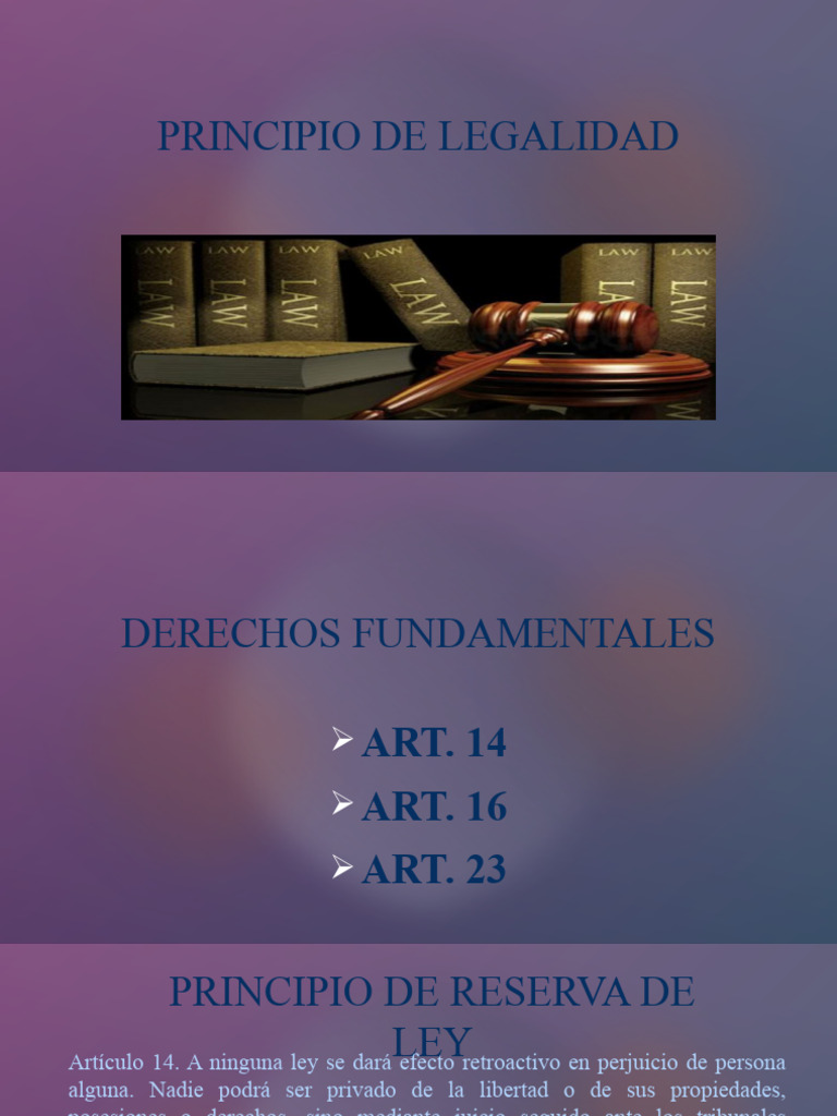 Principio de Legalidad | PDF | Derecho penal | Castigos