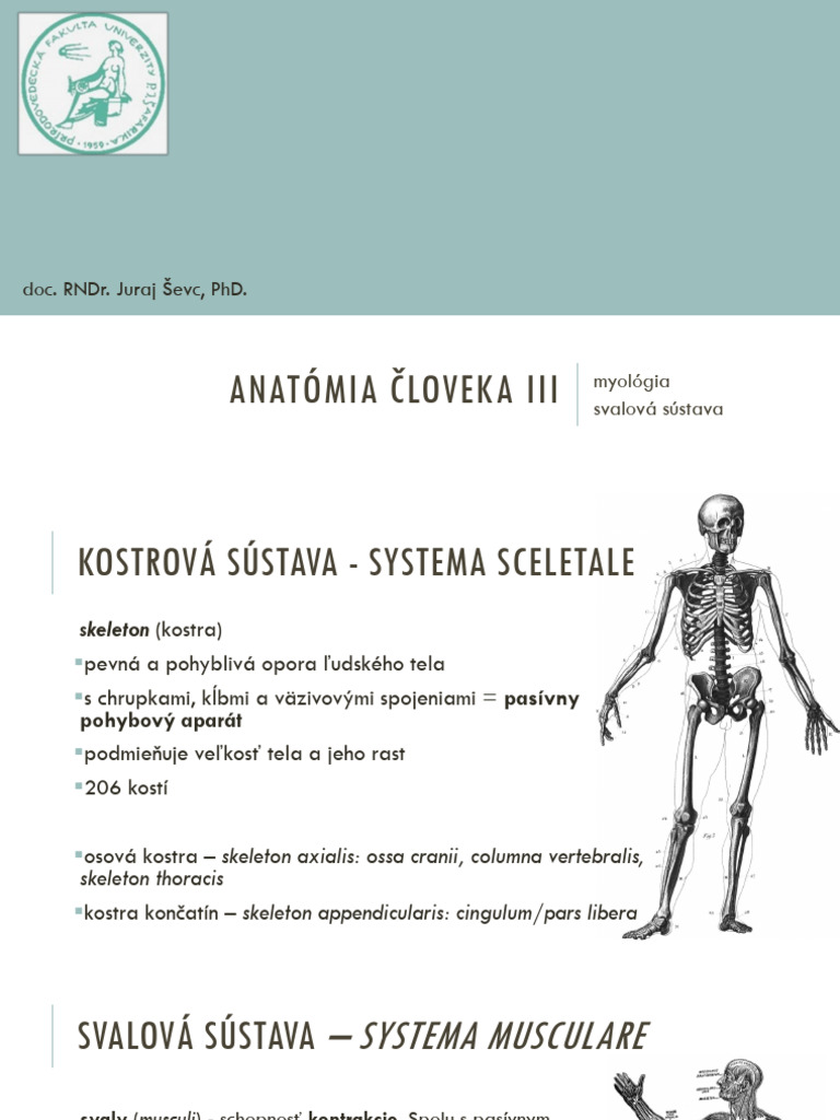 Svaly 2023 | PDF