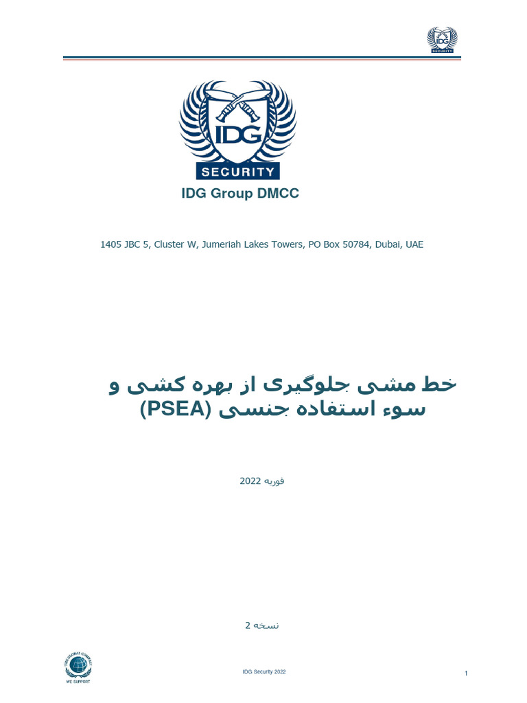 IDG Policy PSEA V2 1 | PDF