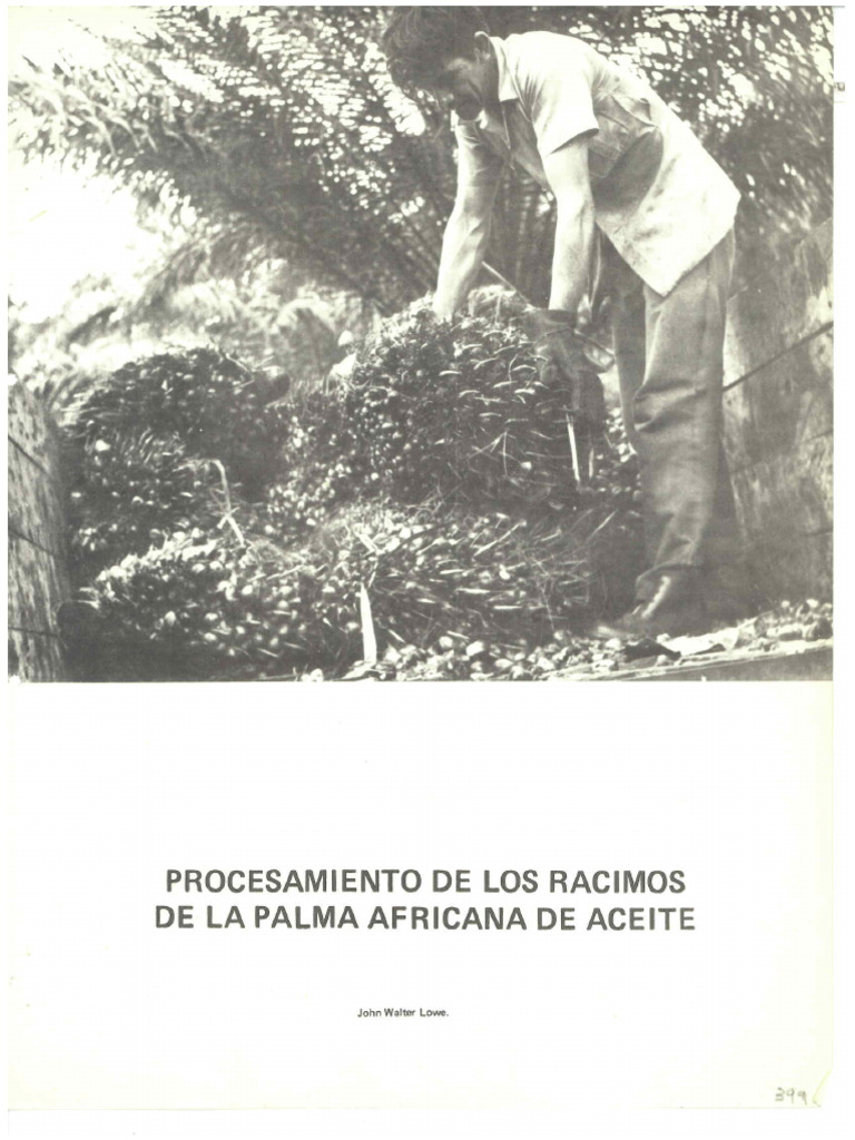 Procesamiento de Los Racimos de Palma Africana | PDF