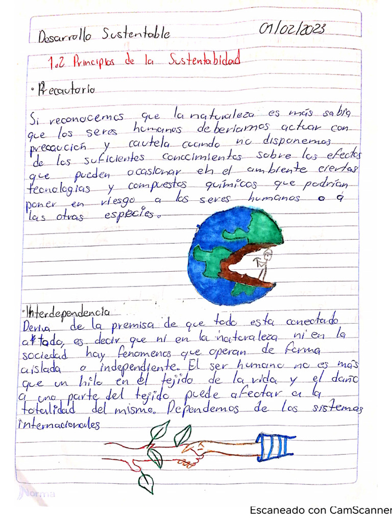 Principios De Sustentabilidad Pdf