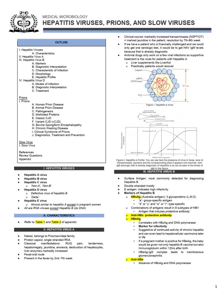 (LEC) 3.4 Hepatitis Viruses, Prions, and Slow Viruses | PDF | Hepatitis ...