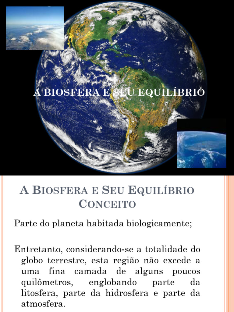 A Biosfera e Seu Equilíbrio | PDF | Terra | Florestas