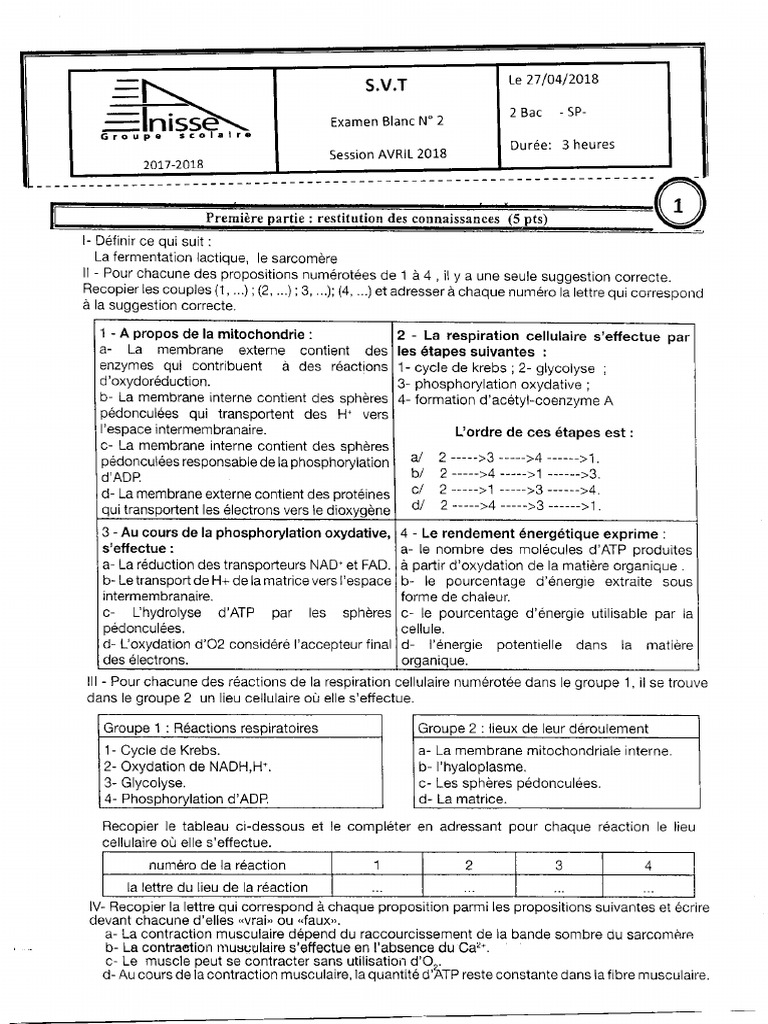 Devoir 2 Modele 2 55 | PDF