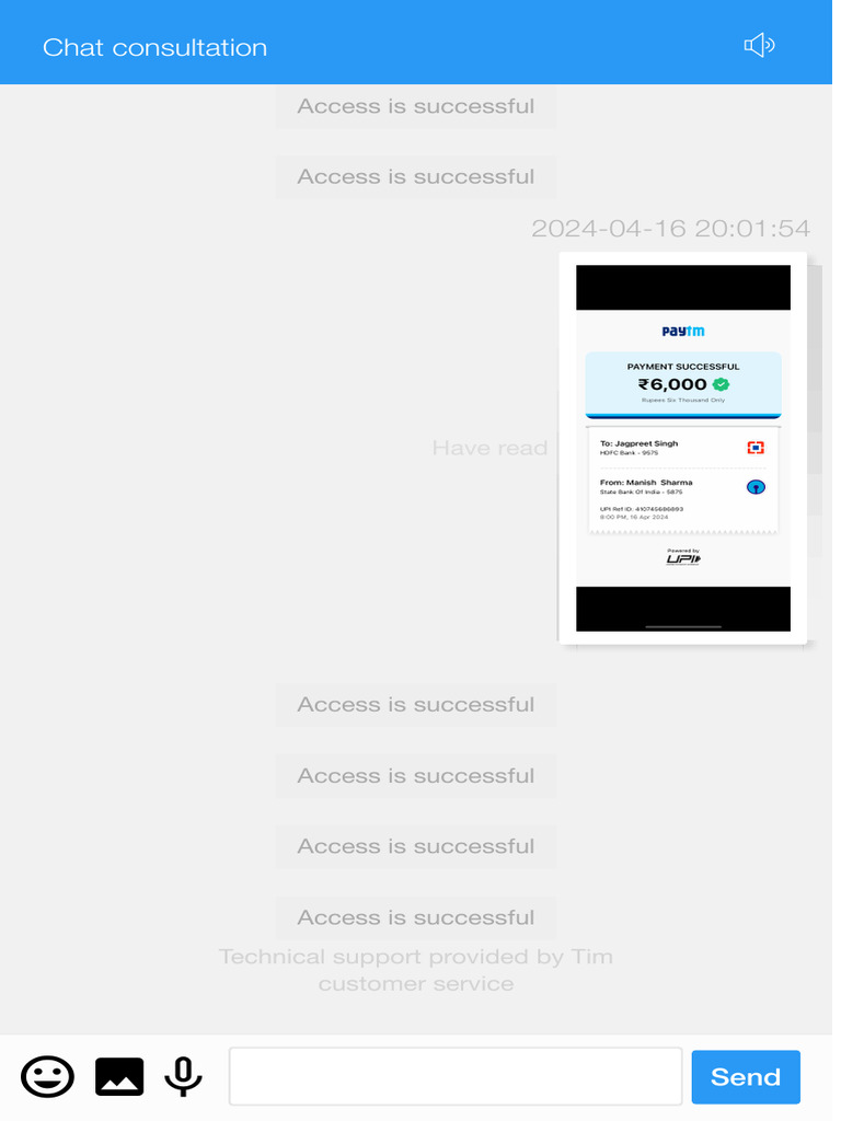 Chat Consultation Access Log | PDF