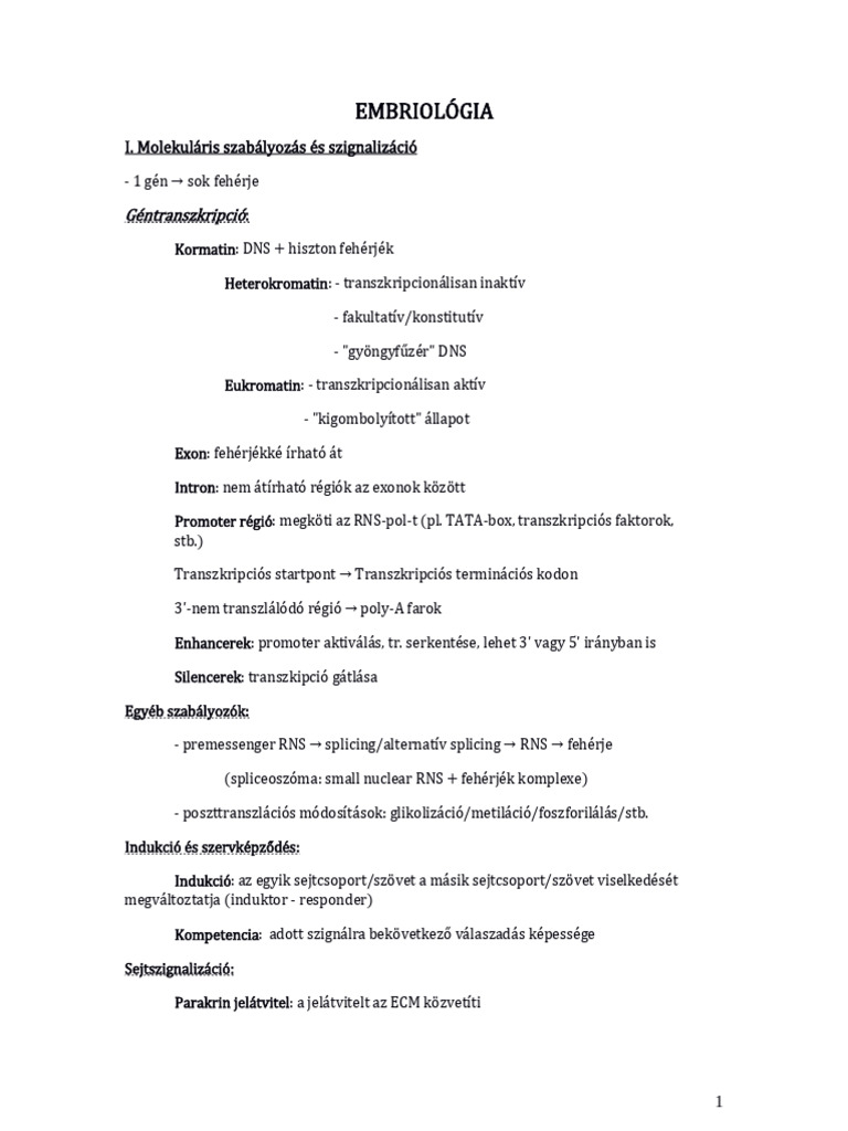 Embri Csodajegyzet | PDF