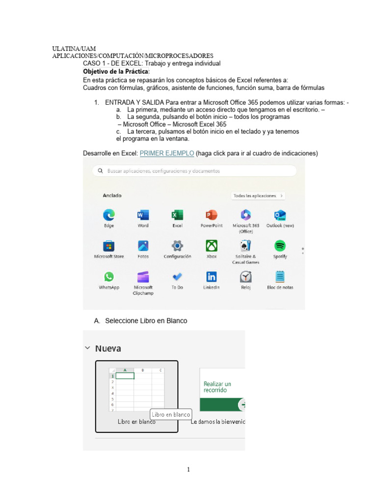 Caso1 de Excel 365 | PDF | Microsoft Excel | Ventana (informática)