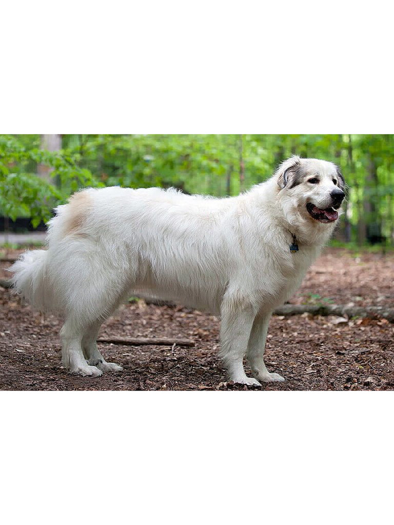 Image To PDF 18-Abr-2024 | PDF