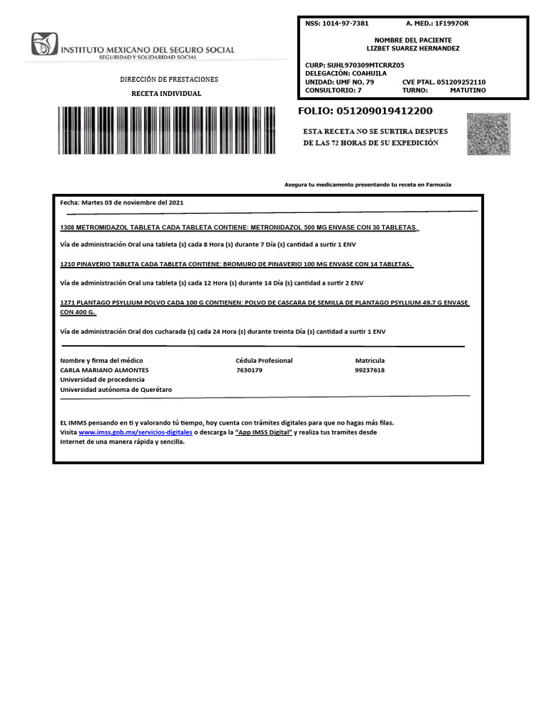 receta imms | PDF | Ciencias de la Salud | Terapia