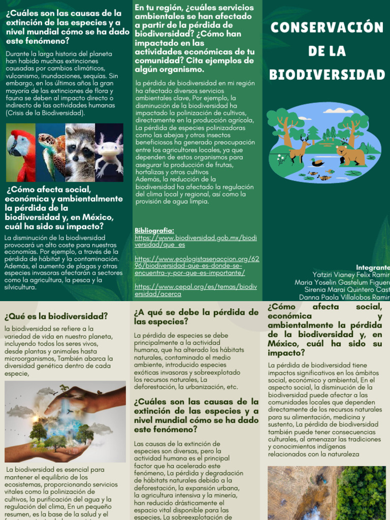 DPVR Act09 | PDF | Biodiversidad | Destrucción del habitát