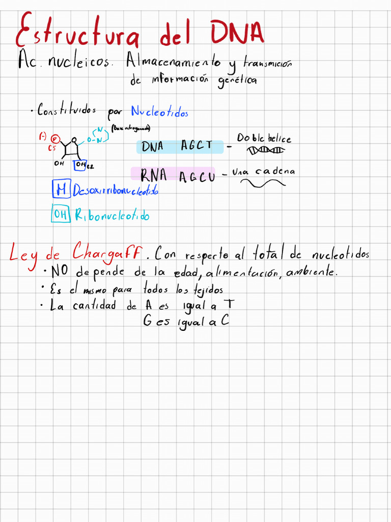 1 estructura del Adn | PDF