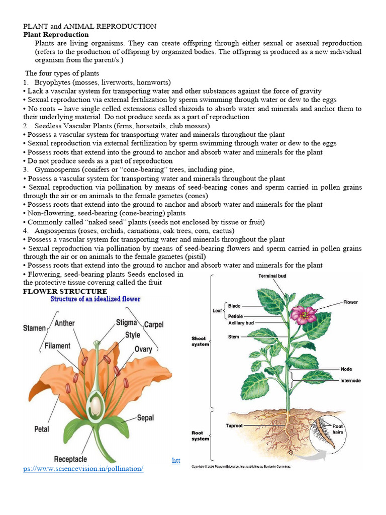 2nd Sem 2nd Quarter Week 1 PLANT and ANIMAL REPRODUCTION | PDF | Plant ...