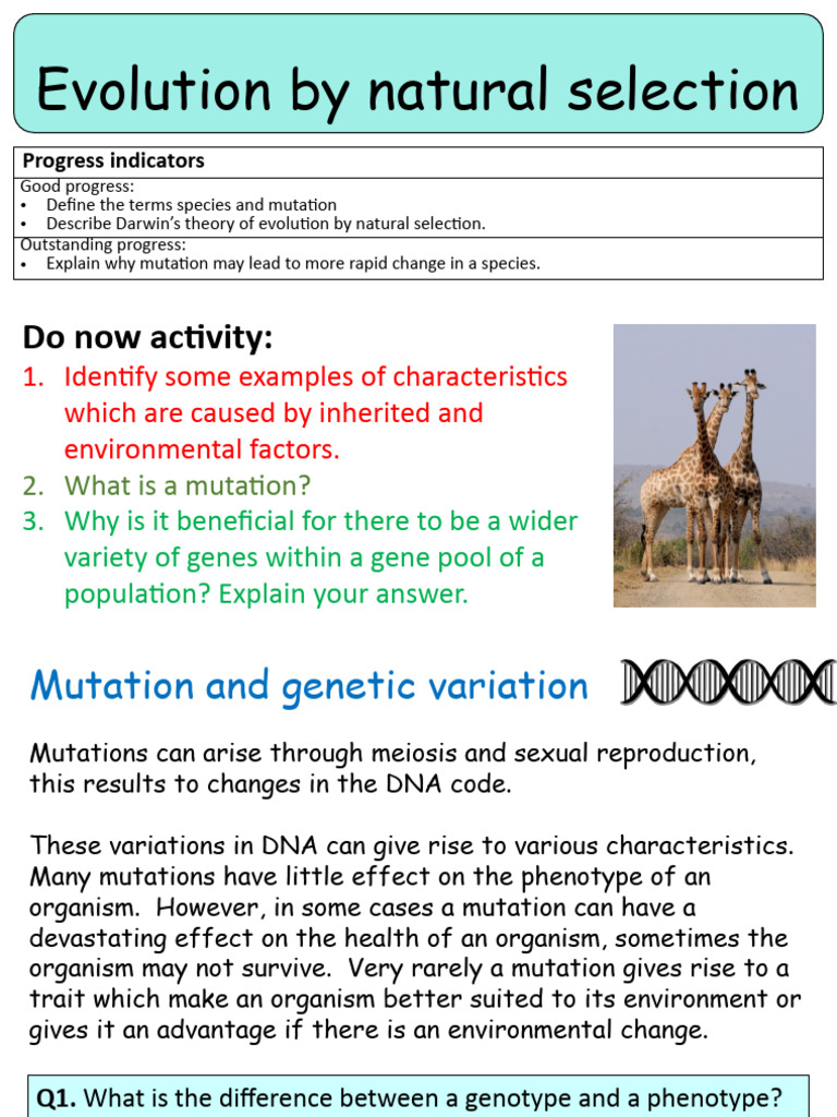 Evolution by Natural Selection: Do Now Activity | PDF | Mutation ...