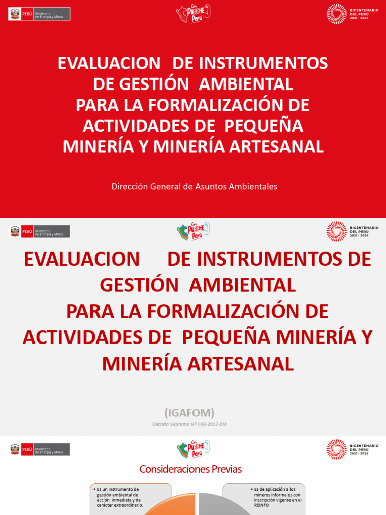 21.07 DEAM-DGAAM Evaluación Del IGAFOM - Joyce Böttger | PDF | Minería