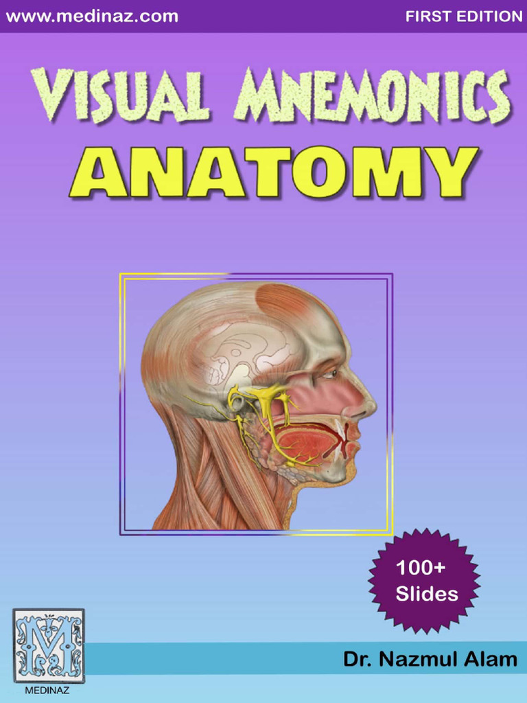 Visual Mnemonics Anatomy (Medicalstudyzone - Com) | PDF