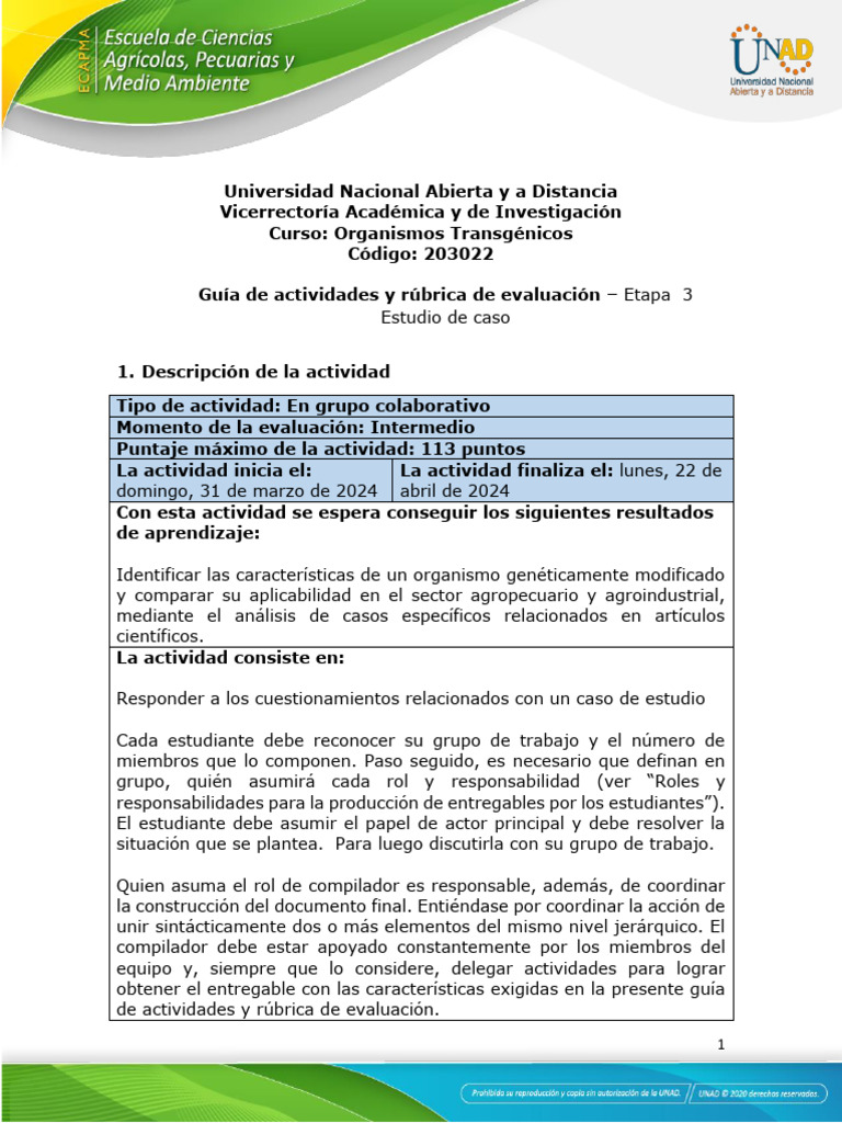 Guía de Actividades y Rúbrica de Evaluación - Unidad 2 - Etapa 3 ...