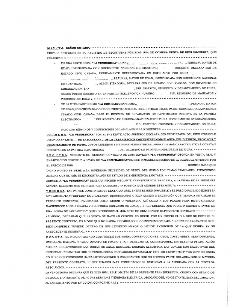 Modelo de Minuta | PDF