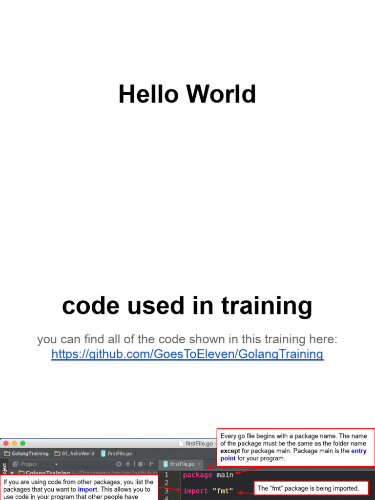 Hello World Golang Pdf Parameter Computer Programming Systems