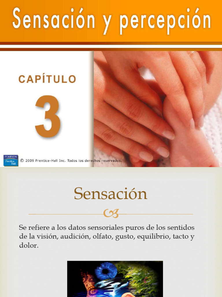 3 - Sensacion y Percepcion | Descargar gratis PDF | Percepción visual | Gusto