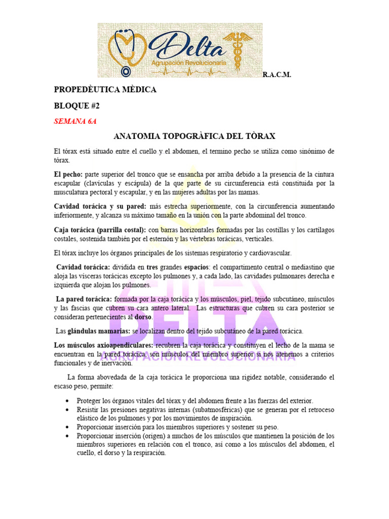 PROPEDÈUTICA MÈDICA - Bloque2 | PDF | Pelvis | Abdomen