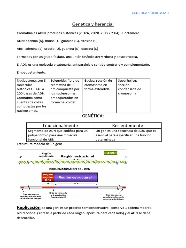 Genetica y Herencia | PDF | Dominancia (Genética) | Cigosidad