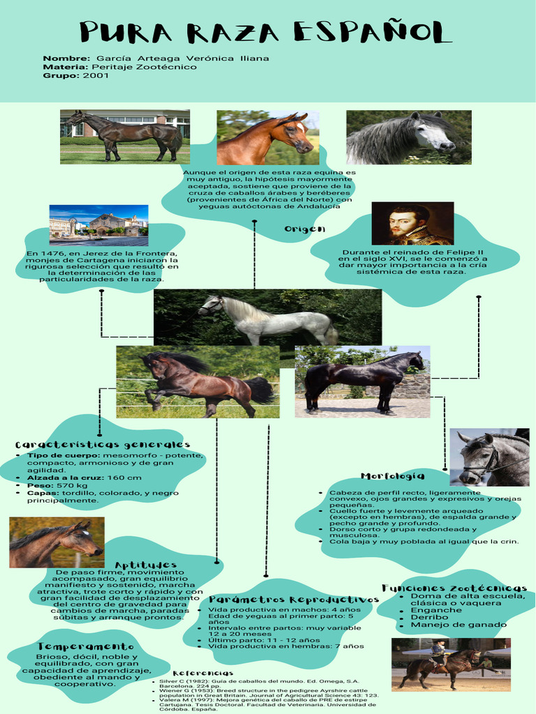 Pura Raza Español | PDF | Caballos | Equus (Género)