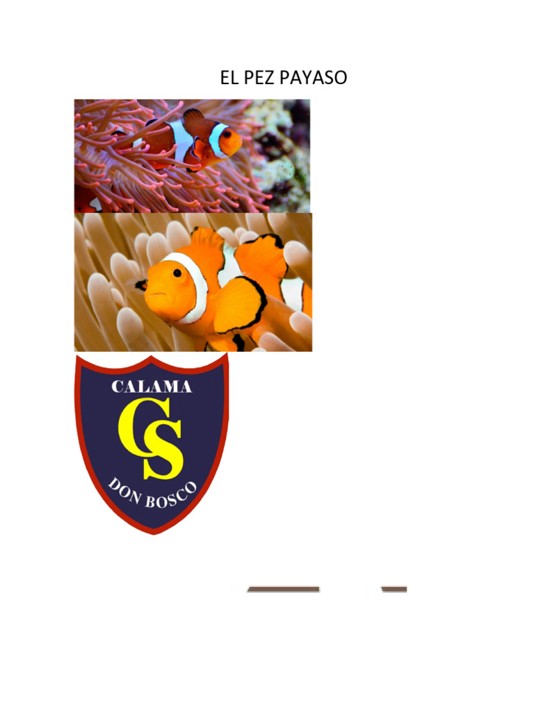 El Pez Payaso | PDF | Pescado