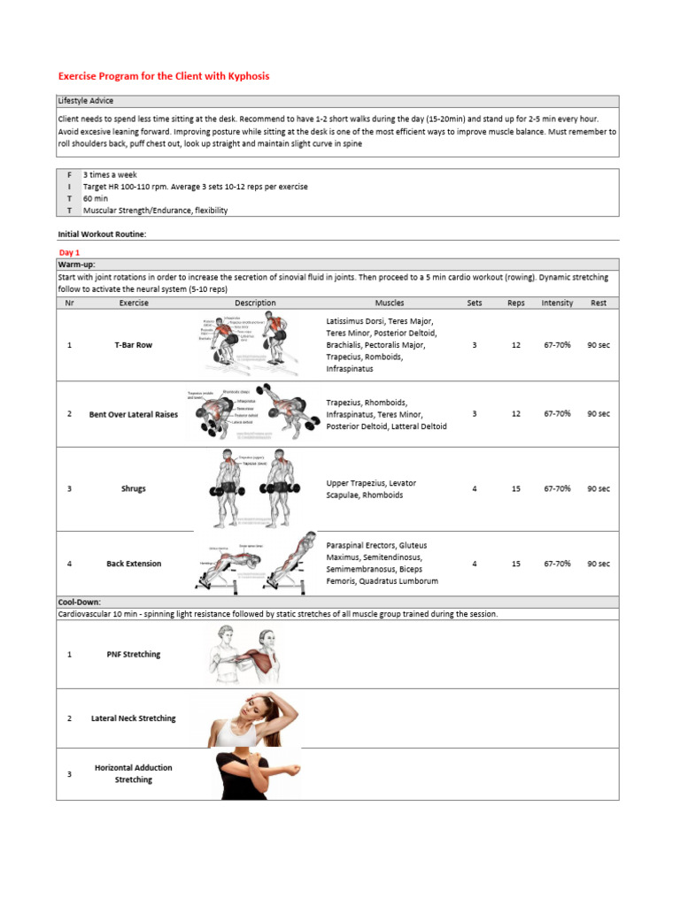 Excercise Program - Kyphosis | PDF | Limbs (Anatomy) | Musculoskeletal ...