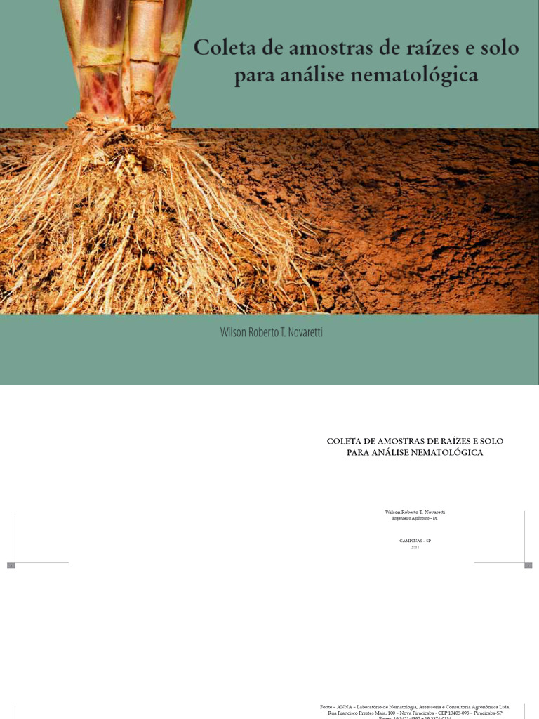 Coleta de Amostras para Nematologia | PDF | Nematoda | Cana de açúcar