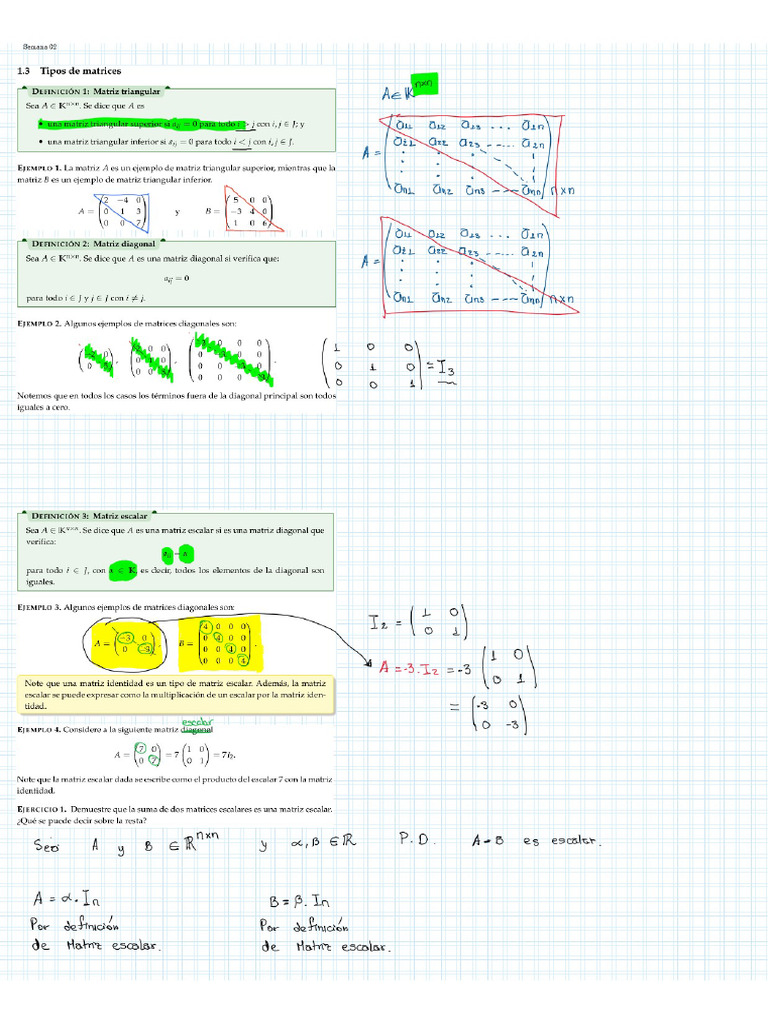 Tipos-de-matrices-matriz-escalonada | PDF