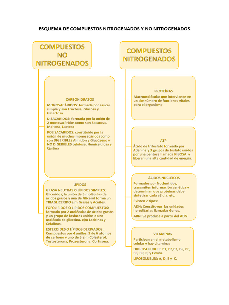 Esquemas de Compuestos Nitrogenados y No Morfofisiología | PDF | Lípido | Ácidos nucleicos