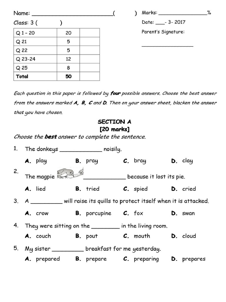 Standard 3 Test Paper | PDF